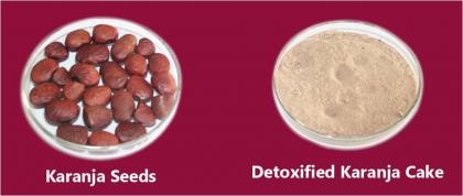 Detoxified Karanja cake | ICAR