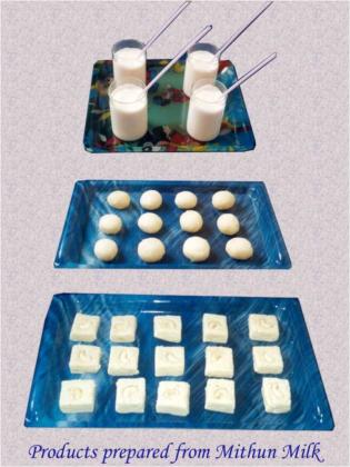 Mithun Milk Products | ICAR
