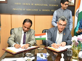 Work plan of CIP and ICAR extended | ICAR