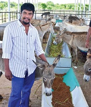 Success Story for establishing India's largest donkey farm “The Donkey ...