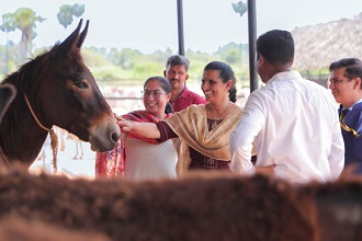 Success Story for establishing India's largest donkey farm “The Donkey ...