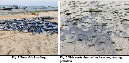 Sustainable Fish Waste Management in Lakshadweep—Turning Marine Waste ...