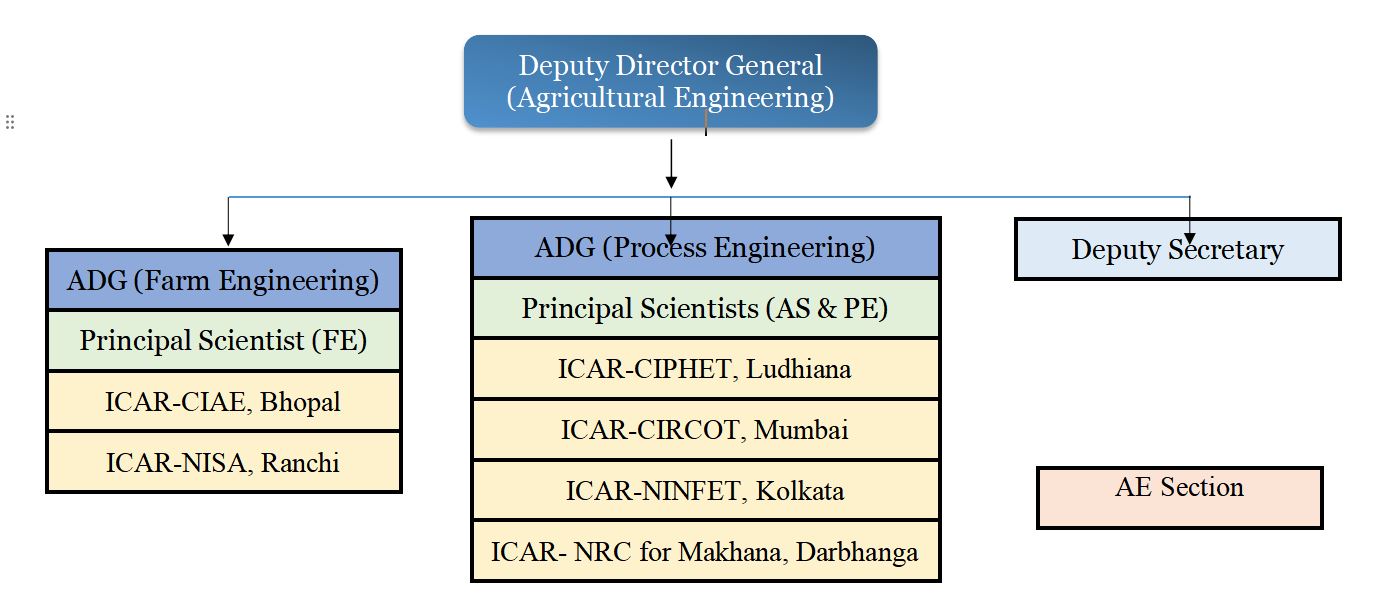 Organogram of Agricultural Engineering Division | ICAR